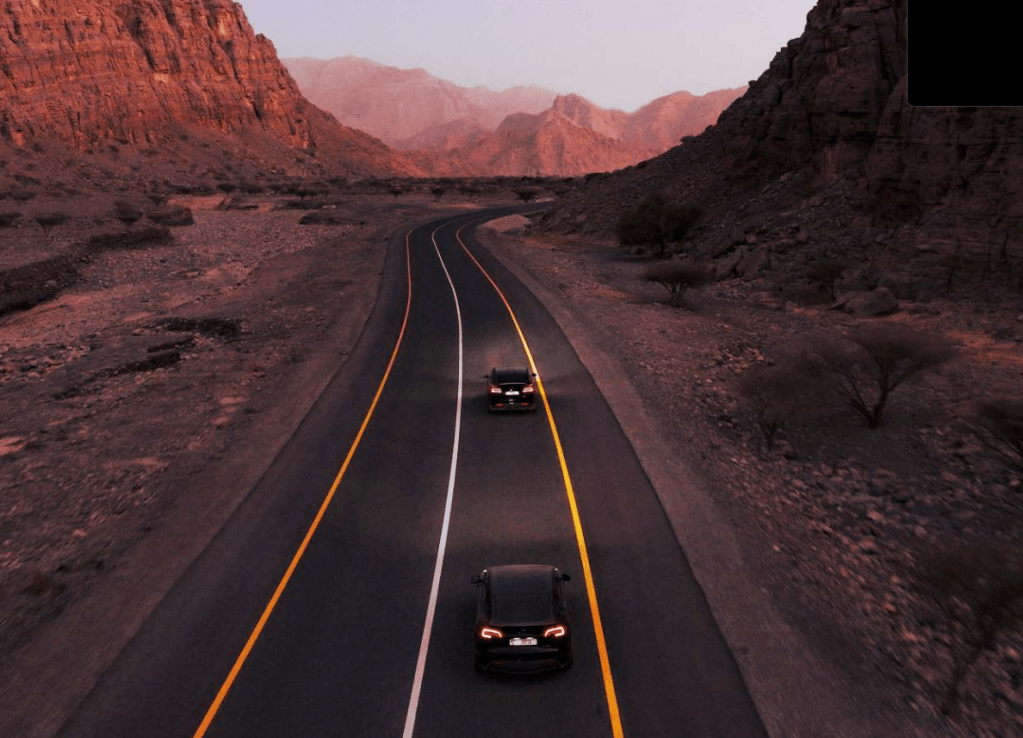 Tesla’s Environmental Management – the Roots